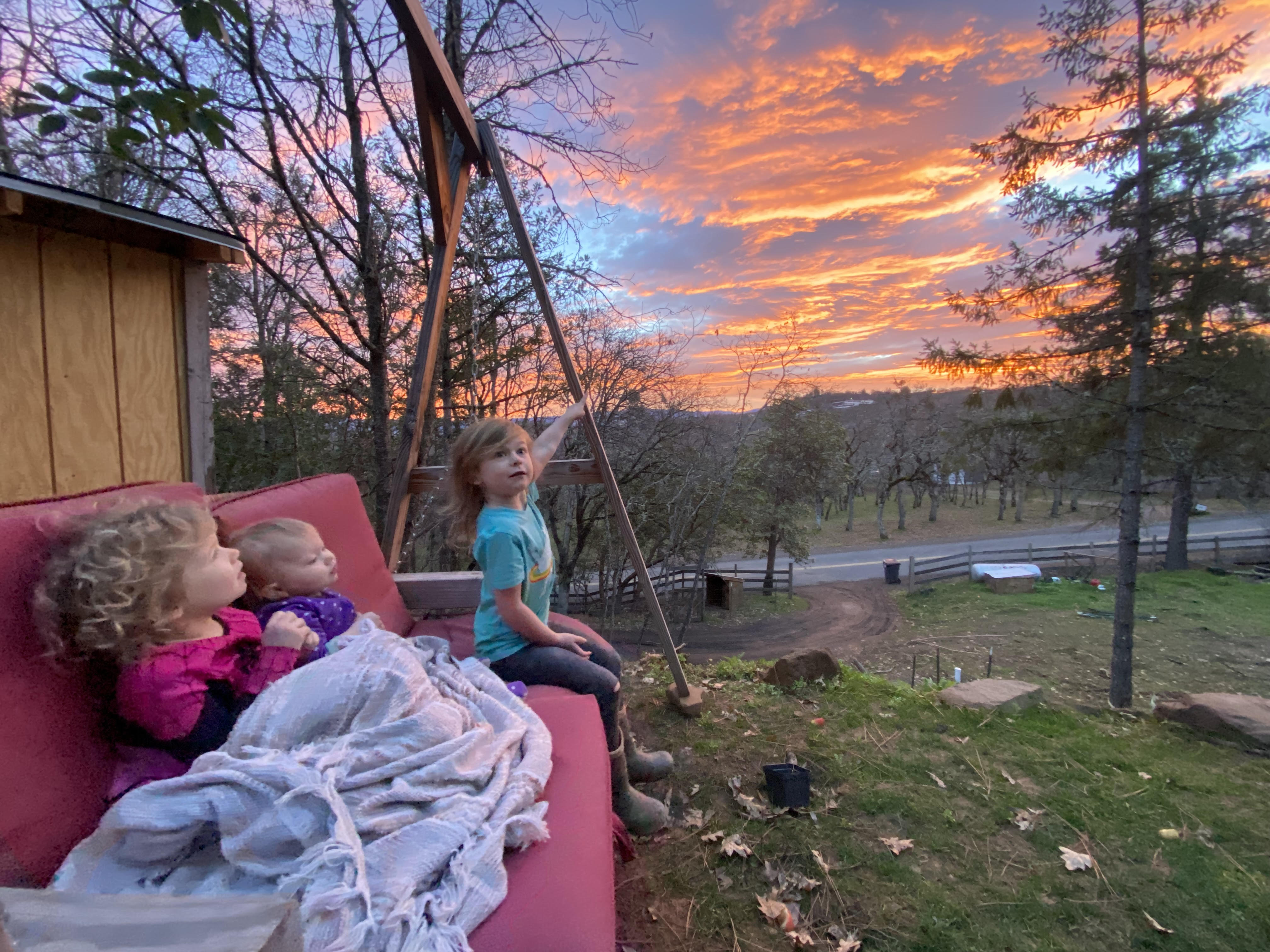 Travis Jantzer | Landscape Ideas and DIY